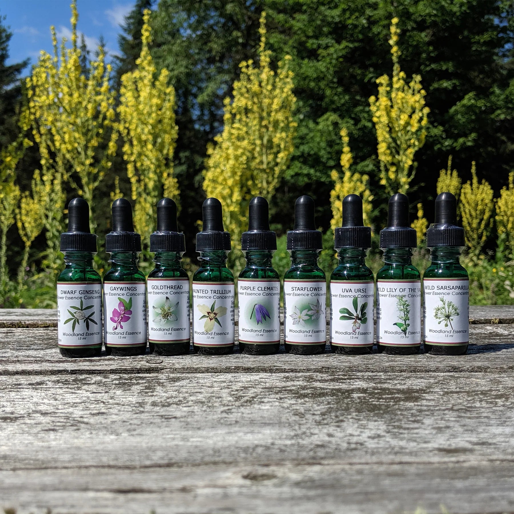 Woodland Flower Essences – Jean’s Greens Center For Holistic Health ...